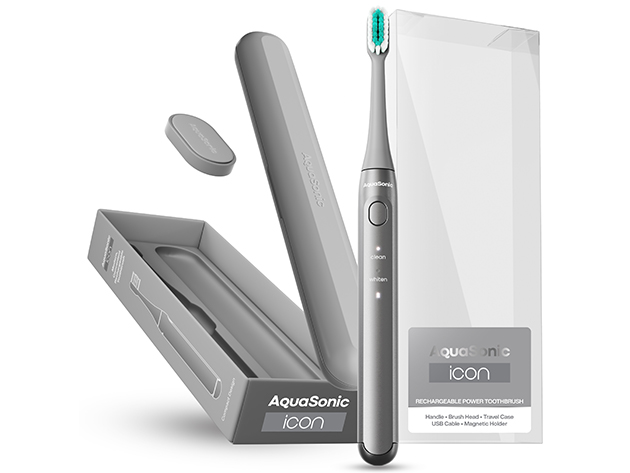 AquaSonic Icon Toothbrush with Magnetic Holder & Slim Travel Case ...
