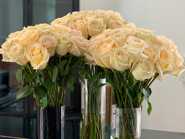Get a Dozen Cream Roses for Your Valentine for Only $39.99 Shipped ...