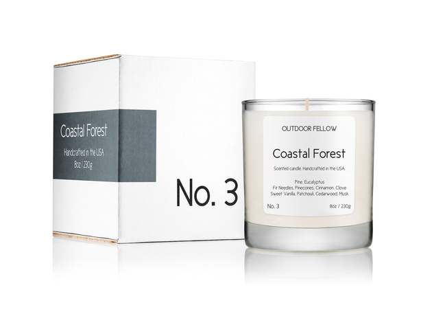 Coastal Forest Scented Candle | InsideNova