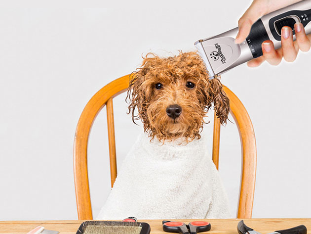 Pet Grooming Kit: Cordless Trimmer, Combs, Scissors & More | StackSocial