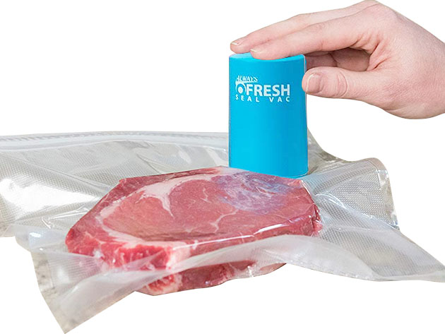 Always Fresh Reusable Sealer Bags Only (12-Bags) | Joyus