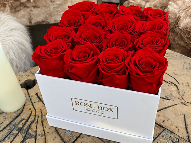 Rose Box™ Medium Square White Box & Everlasting Roses | Joyus