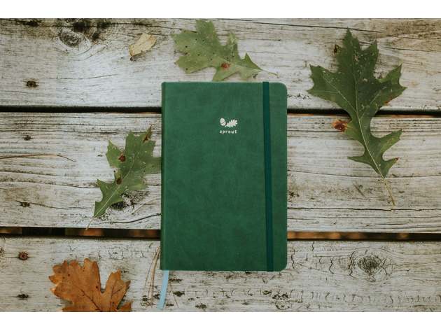 Sprout Journal (Forest Green) | theChive University