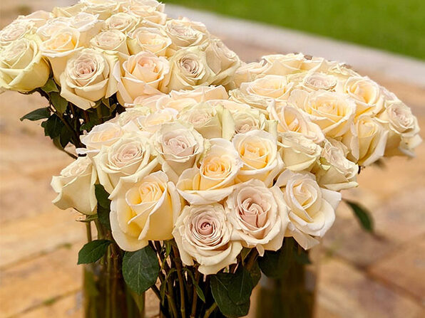 Get 2 Dozen Cream Roses for Your Valentine for Only $49.99 Shipped ...