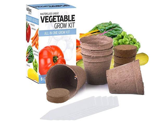 Masterclass 5-Vegetable Grow Kit | StackSocial