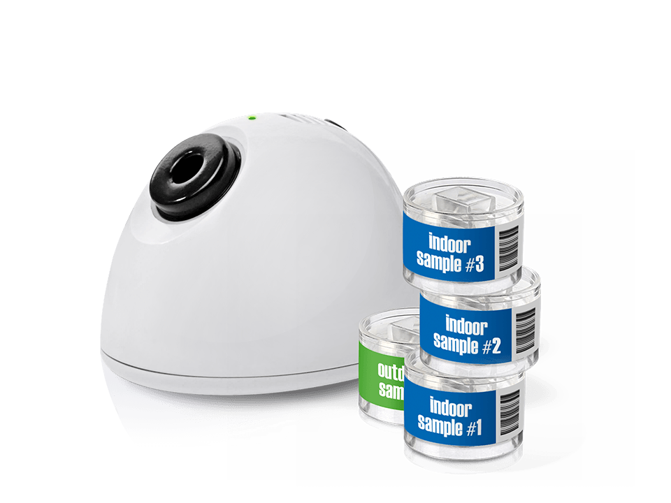 GOT MOLD? 3 Room Test Kit | theChive University