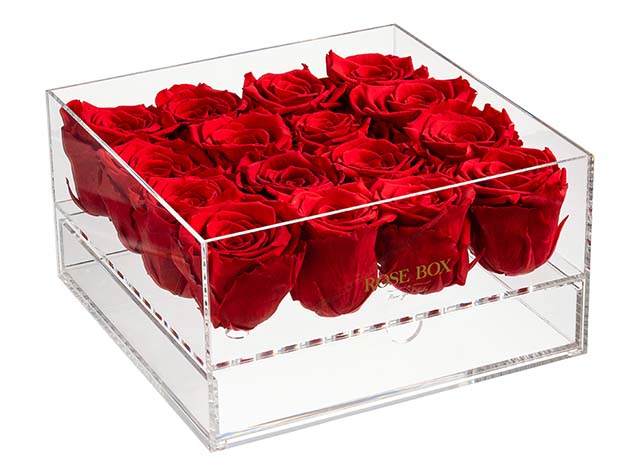 Rose Box™ Premium Jewelry Box & Everlasting Roses | StackSocial