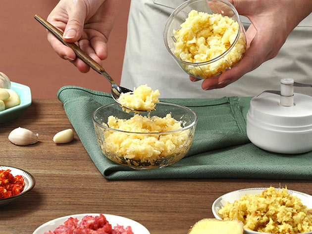 Quick Chop Mini Electric Herbs, Veggie Chopper, and Salsa Maker (Pink ...